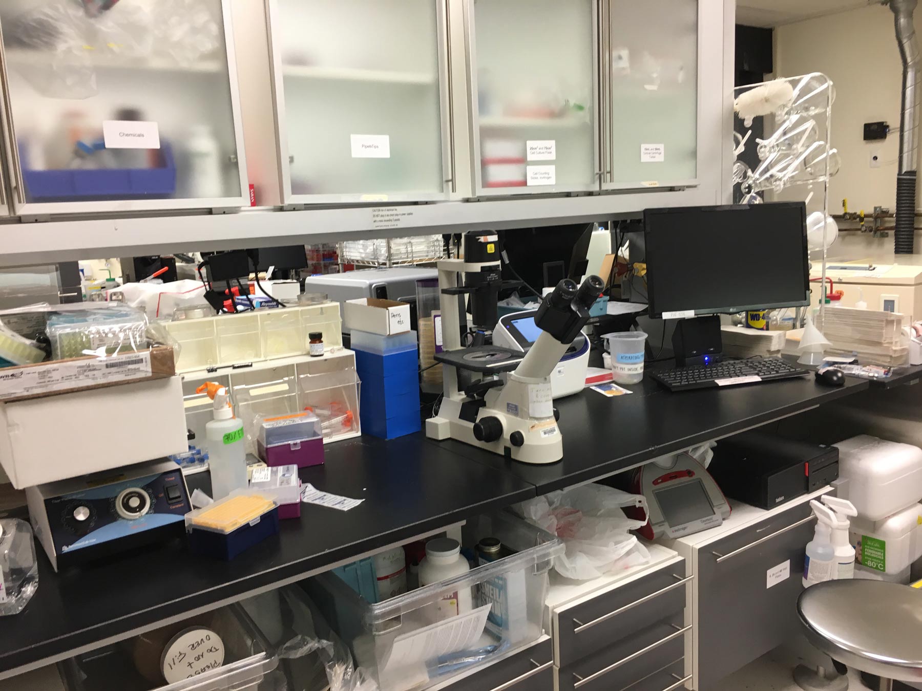 biomaterials-facility - Harvard CNS